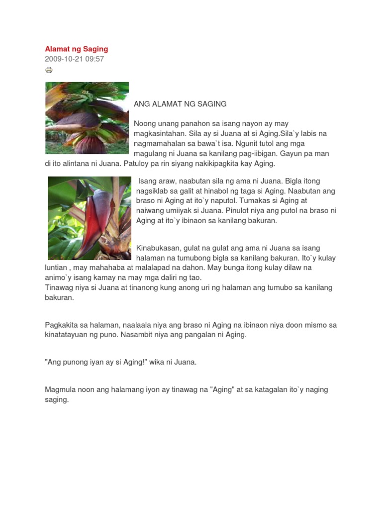 Alamat NG Saging | PDF