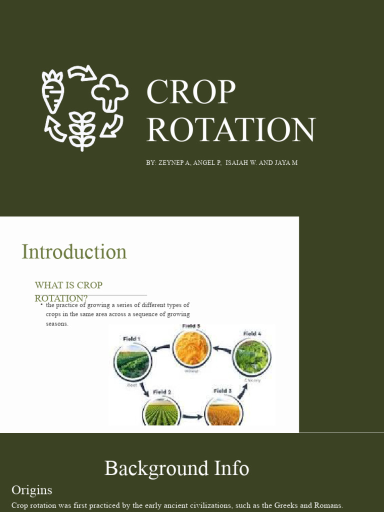 Crop Rotation Powerpoint Project | PDF | Crop Rotation | Agriculture