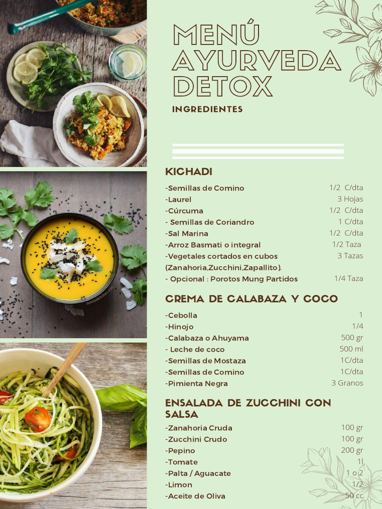 Recetas Ayurvédicas Detox Saludables | PDF
