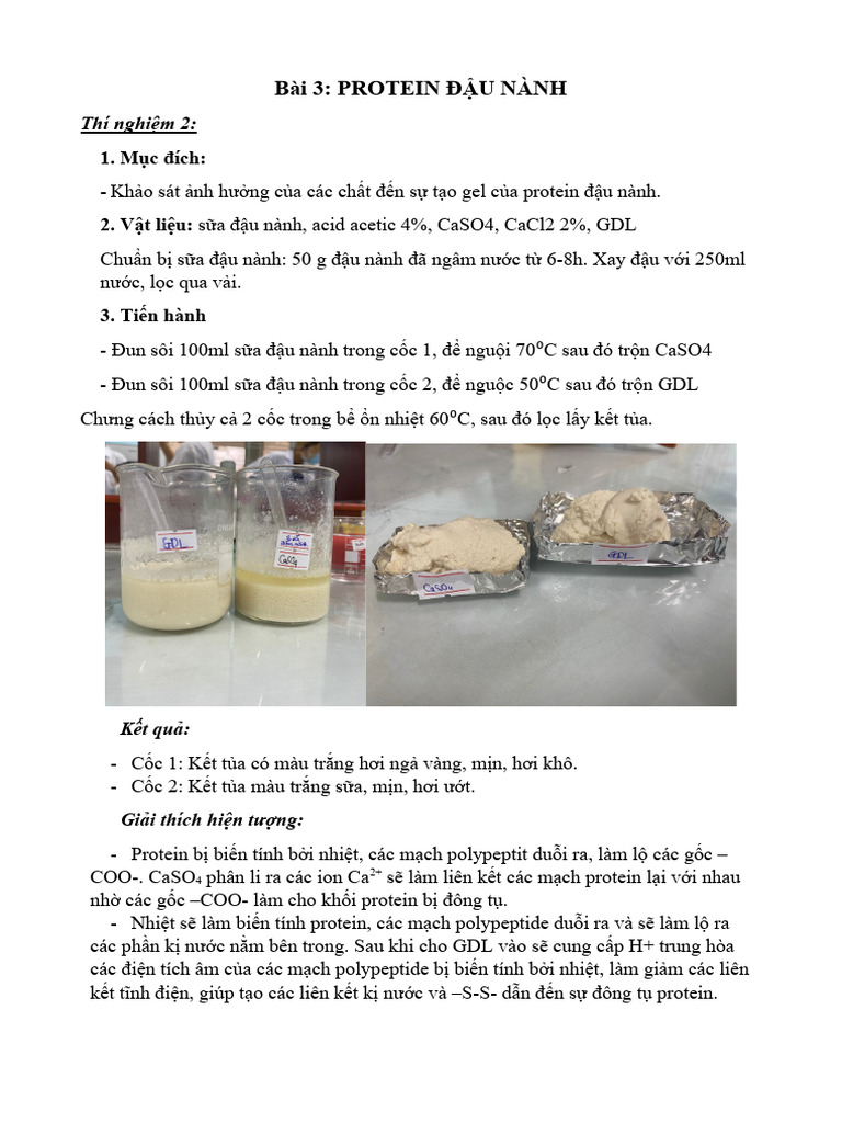 TH Hóa Thực Phẩm Bài 3 TN2 Bài 4 TN1 | PDF