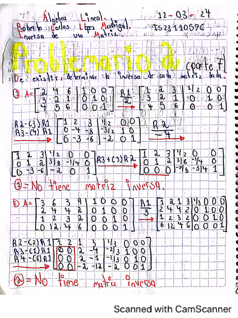 PROBLEMARIO 2 - Parte 7 | PDF