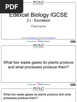 Igcse Biology 2i Excretion