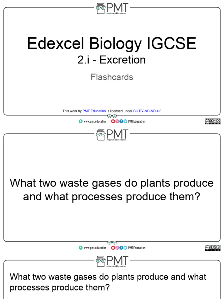 IGCSE Biology: Excretion Flashcards | PDF | Kidney | Organ (Anatomy)
