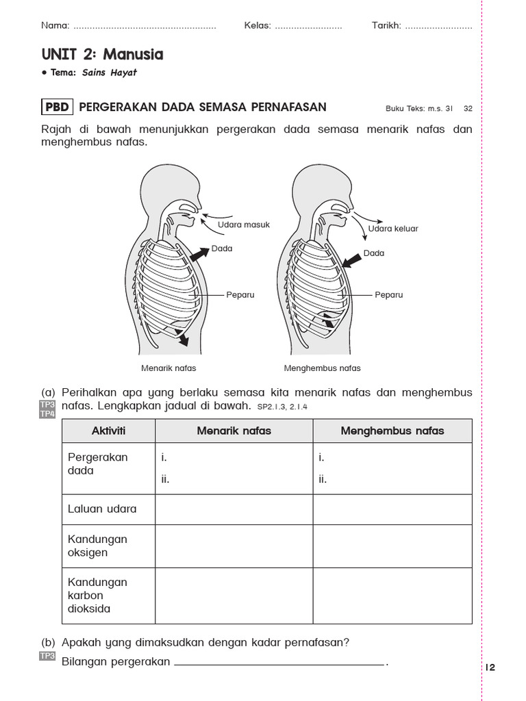 Sains Tahun 4 - Unit 2 2 | PDF