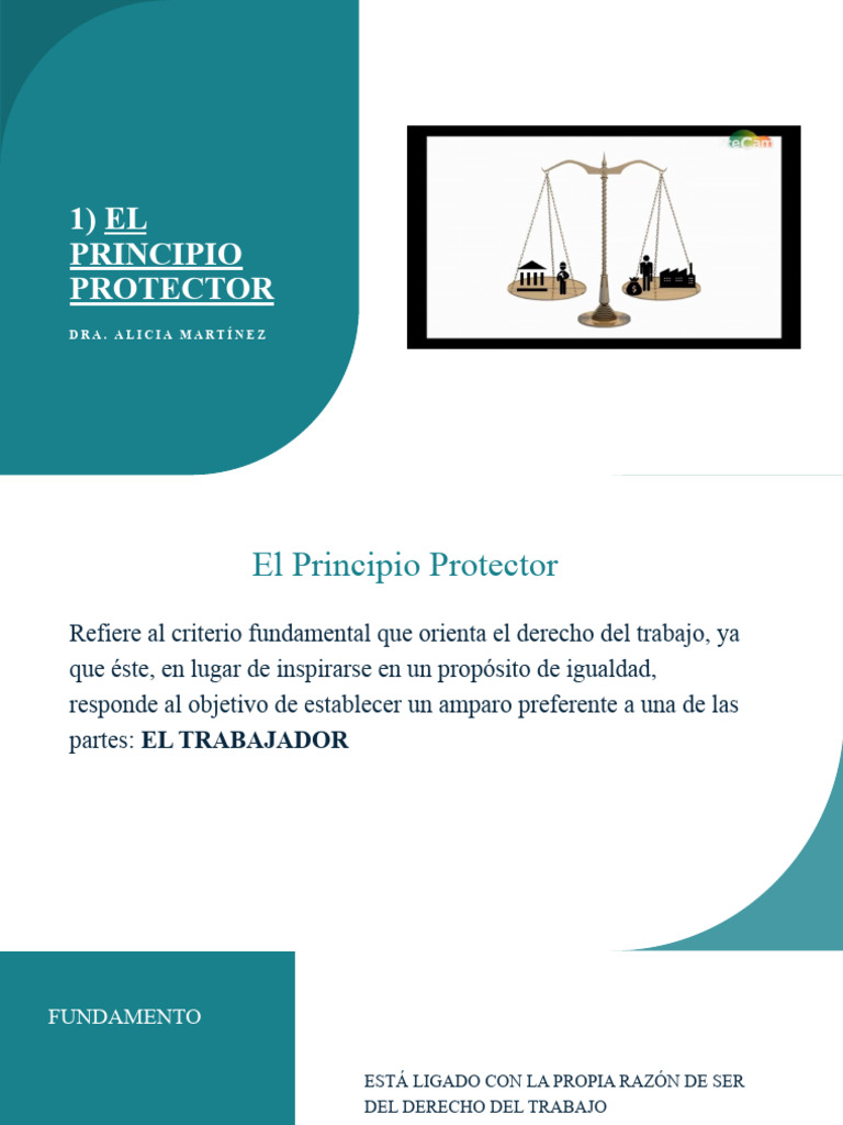 PRINCIPIO PROTECTOR Alicia Martínez | PDF | Derecho laboral | Gobierno