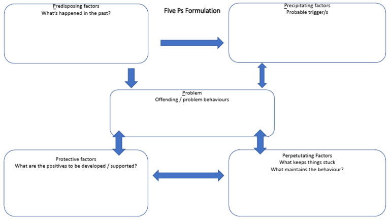 5Ps Formulation Worksheet | PDF