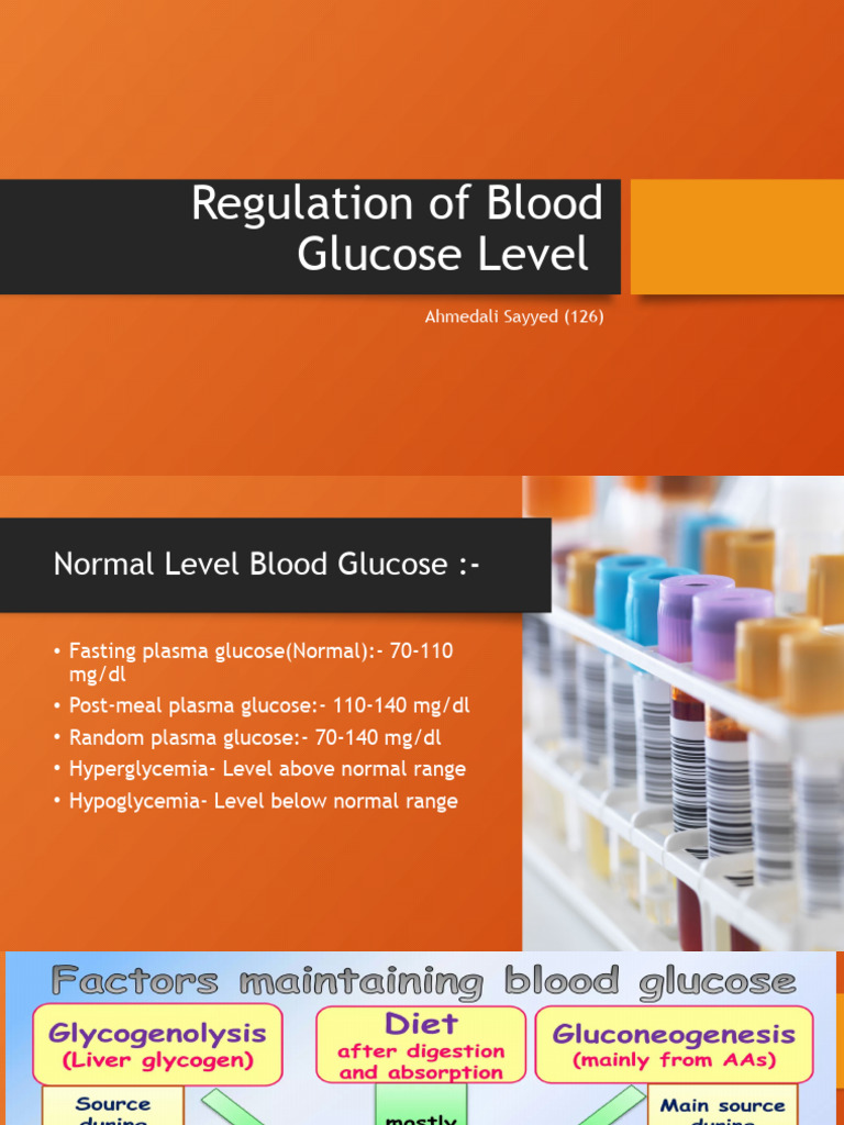 Regulation of Blood Glucose Level | PDF | Hypoglycemia | Hyperglycemia