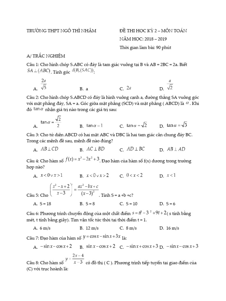 11 CK2 Ngô 2019 | PDF