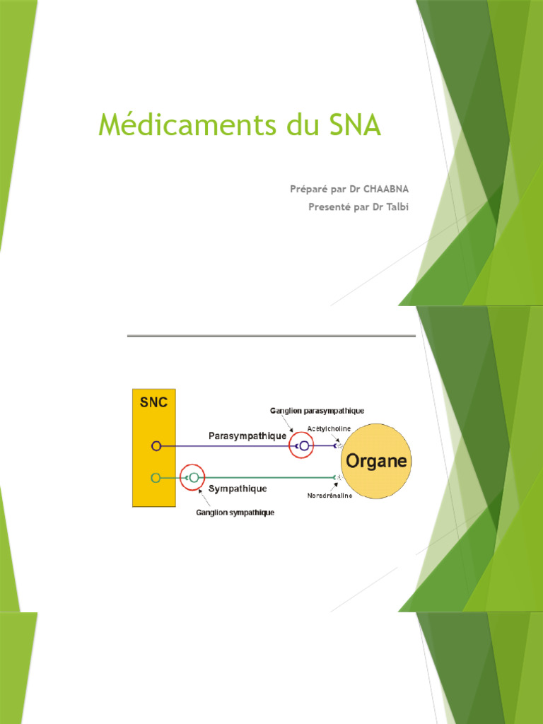 (C14) Médicaments Du SNA 2024 | PDF | Noradrénaline