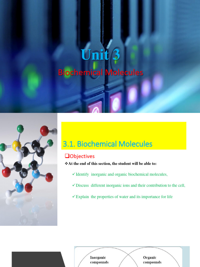 Grade 10 Biology Short Note Unit Three Biochemical Molecule | PDF | Rna ...