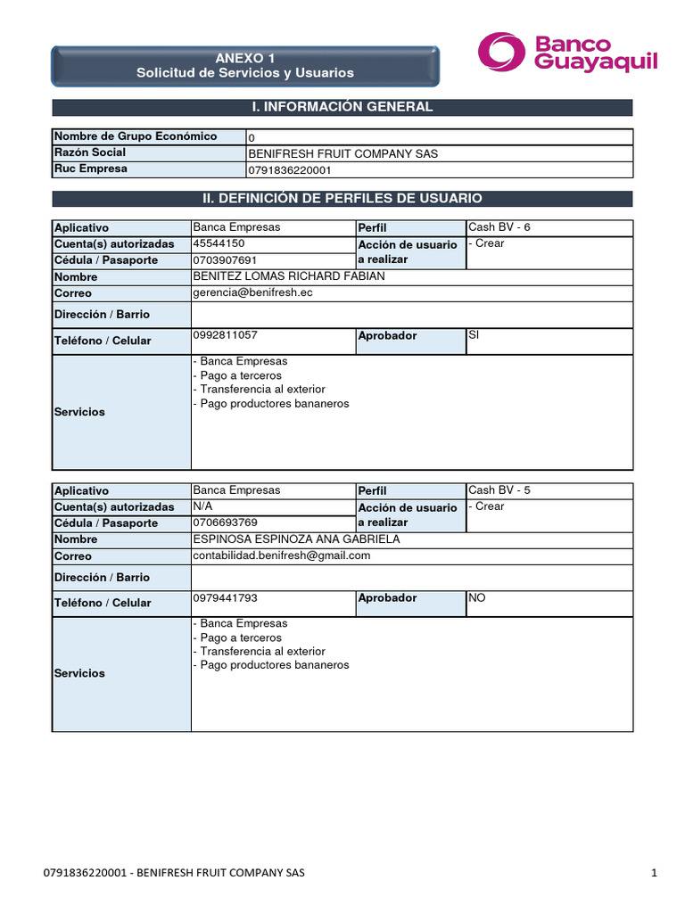 Anexo 1 - Multicash | PDF | ciberespacio | Industrias de servicio
