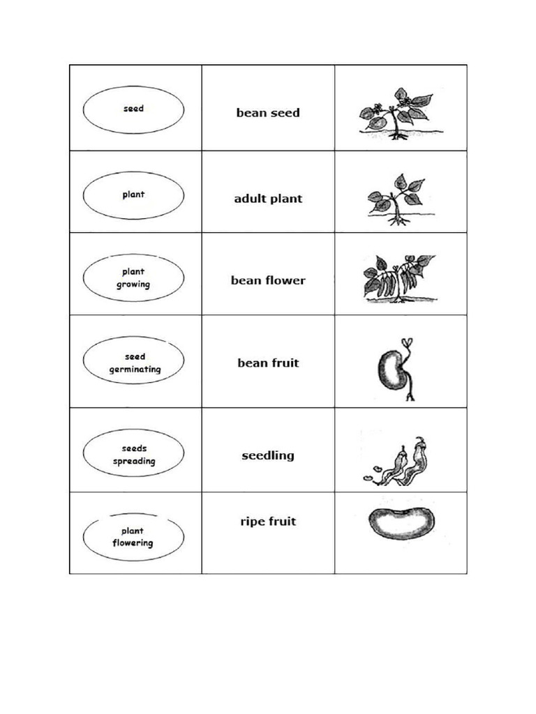 bean life cycle | PDF