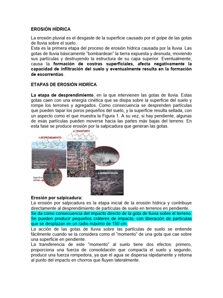 Erosión Hídrica y sus Etapas | PDF | Erosión | Suelo
