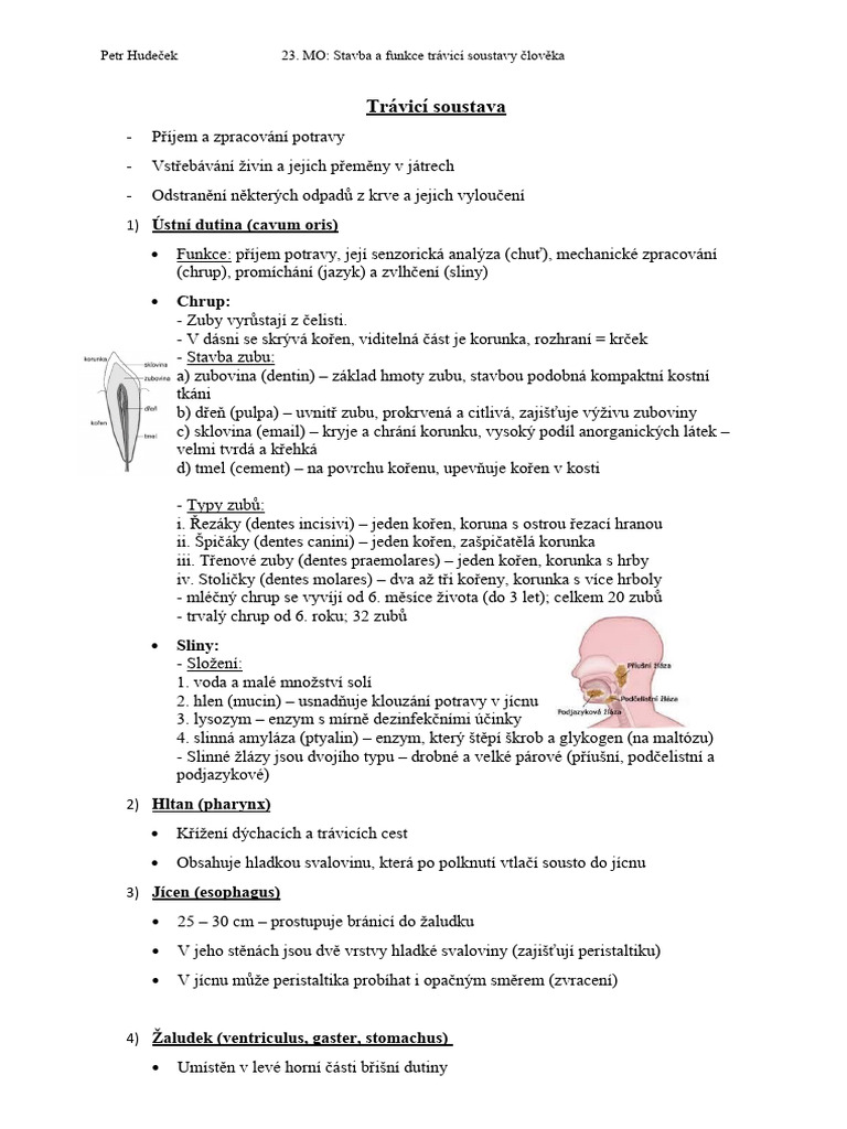 Bio 23mo (Hotovo) | PDF
