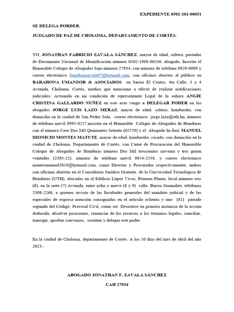 Deleganción de Poder Proceso | PDF