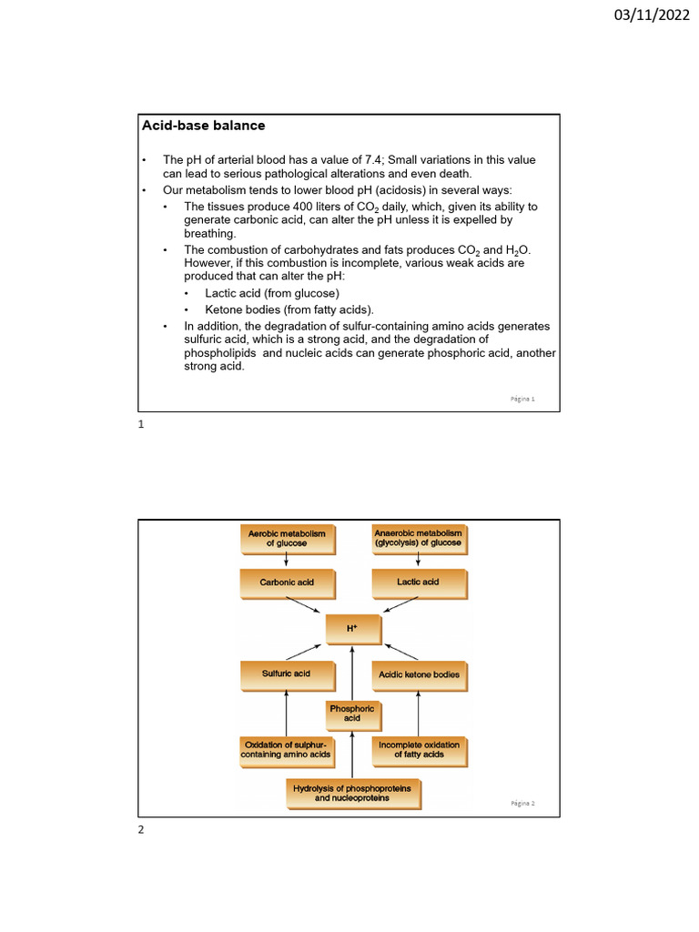 03-PH Balance During Exercise | PDF | Buffer Solution | Acid