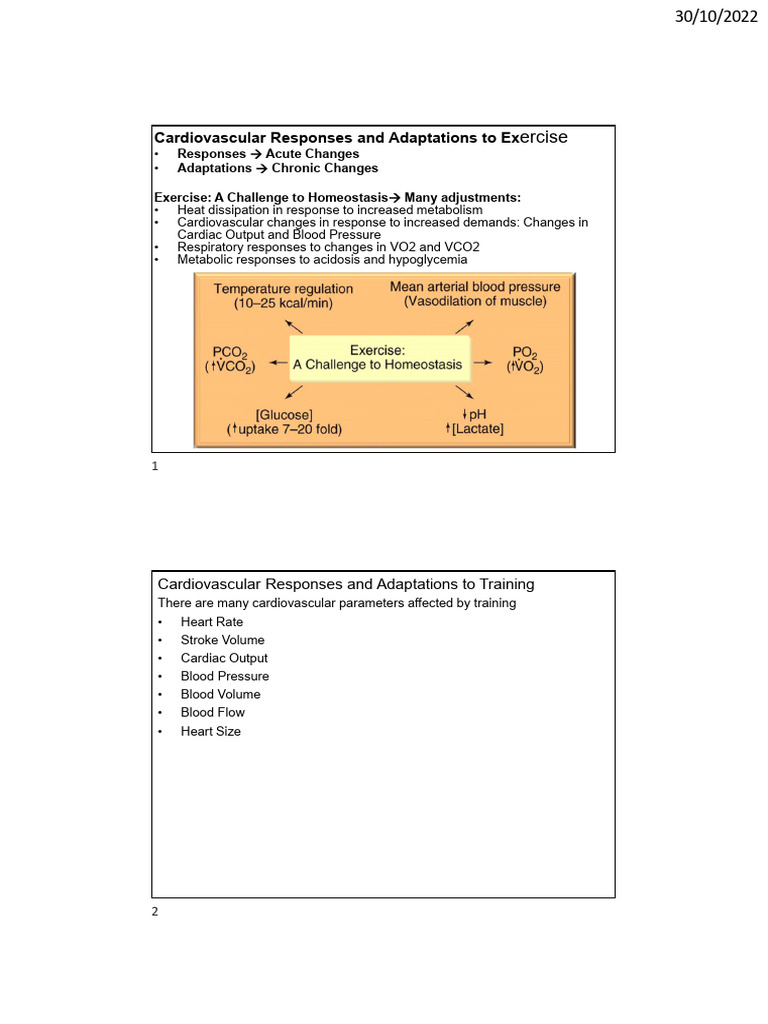 01-Cardiovascular Responses and Adaptations To Exercise | PDF ...