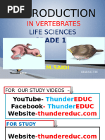 Grade 12 Life Sciences Study Notes | PDF
