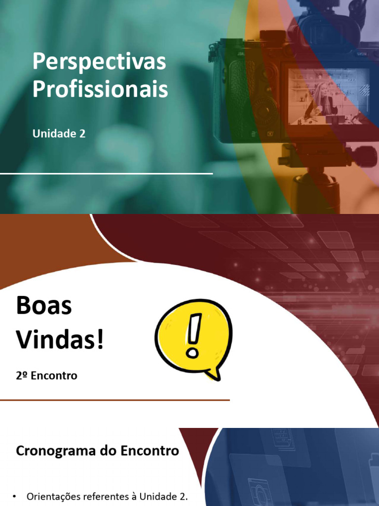 Aula 2 - Perspectivas Profissionais - 2024 | PDF | Aprendizado | Pensamento