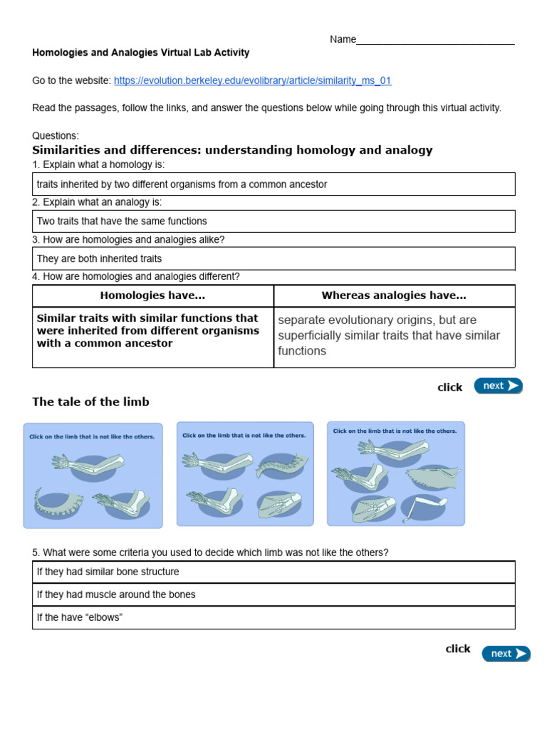Homologies and Analogies Virtual Lab Activity | PDF | Homology (Biology ...