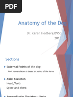 Dog Anatomy | PDF
