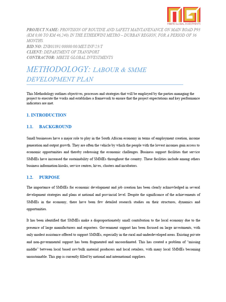 Methodology - Labour & SMME Development Plan | PDF | Small And Medium Sized Enterprises | Employment