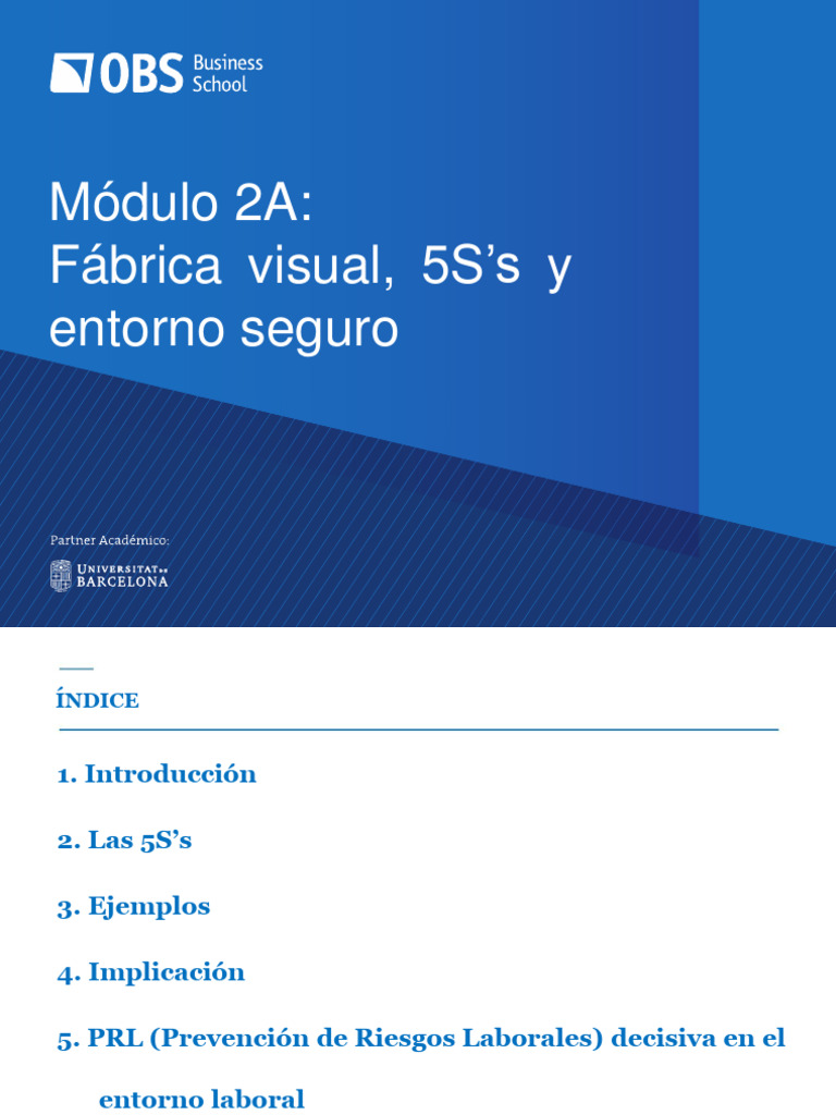 Módulo 2A - Fábrica Visual, 5S's y Entorno Seguro | PDF | Business ...