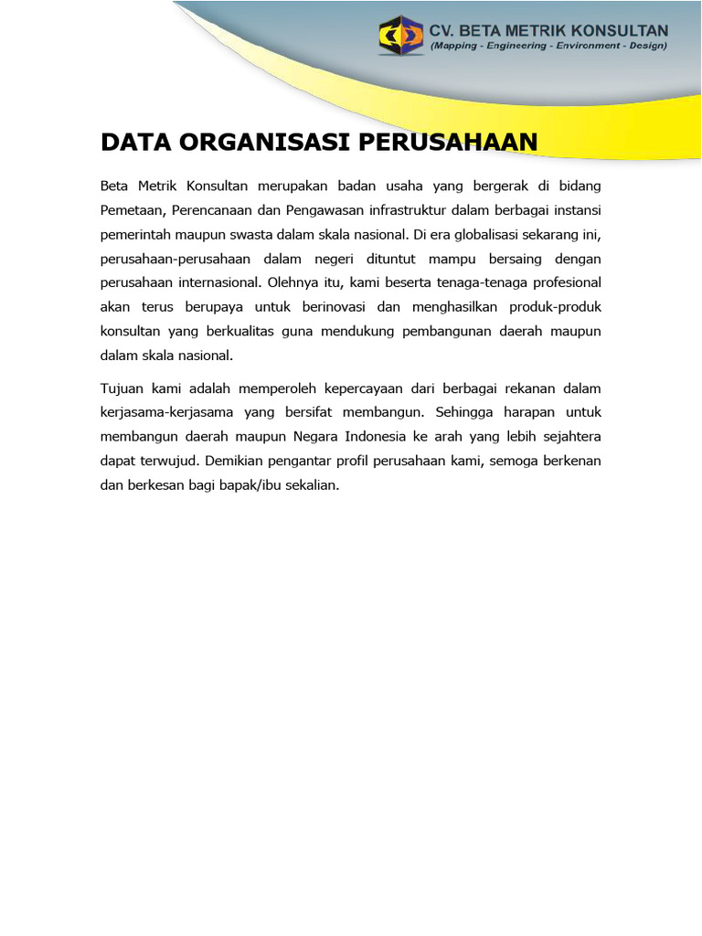 1 DATA ORGANISASI PERUSAHAAN | PDF