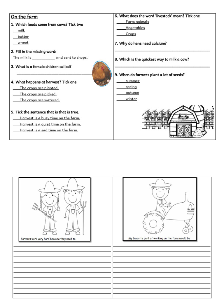 Farm Food and Harvest Basics Quiz | PDF