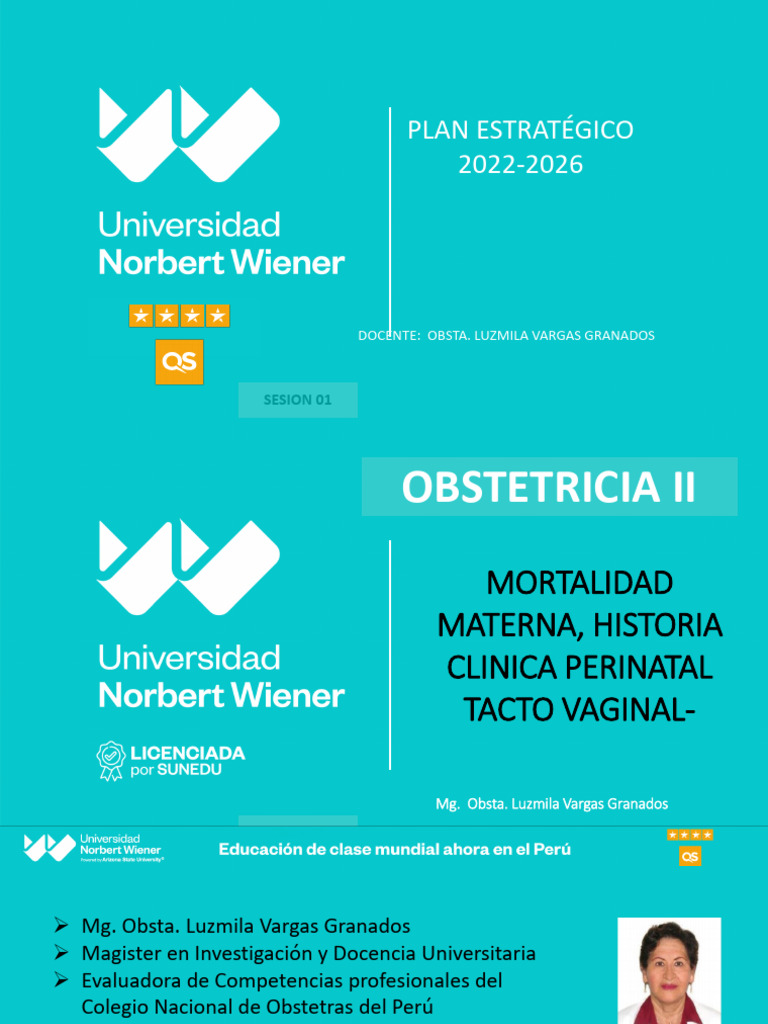 Clase 01 OB II HCPBcorregido | PDF | Muerte materna | Parto