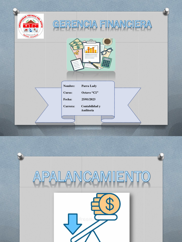 Lady Parra Apalancamiento | PDF | Apalancamiento (Finanzas) | Business