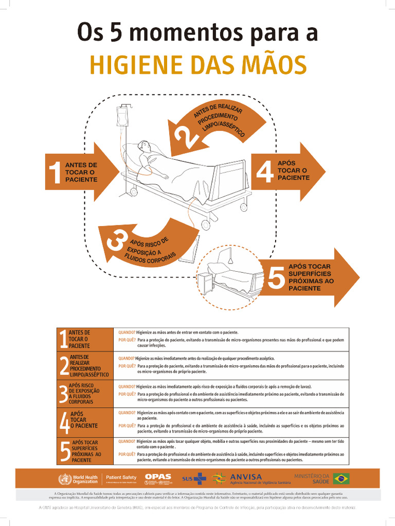 5 Momentos Da Higienização Das Maos | PDF
