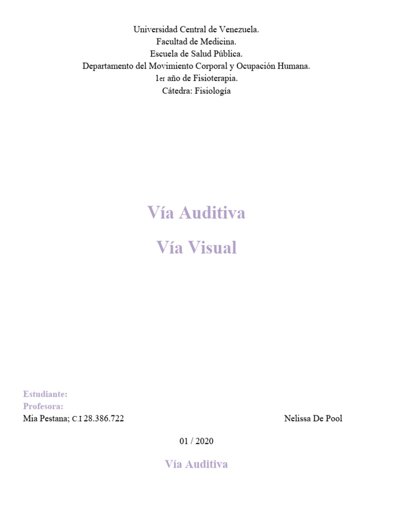 Informe: Vía Auditiva y Visual | Descargar gratis PDF | Oído | Ojo humano