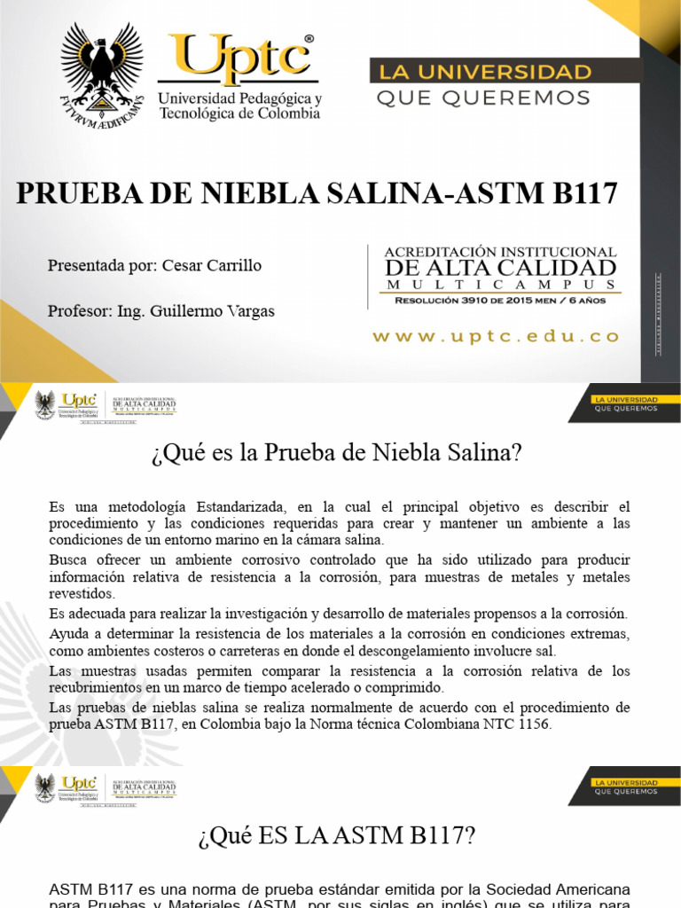 Prueba de Niebla Salina - Nace Astm B117 | PDF | Corrosión | Materiales