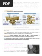 Test de Schober | PDF