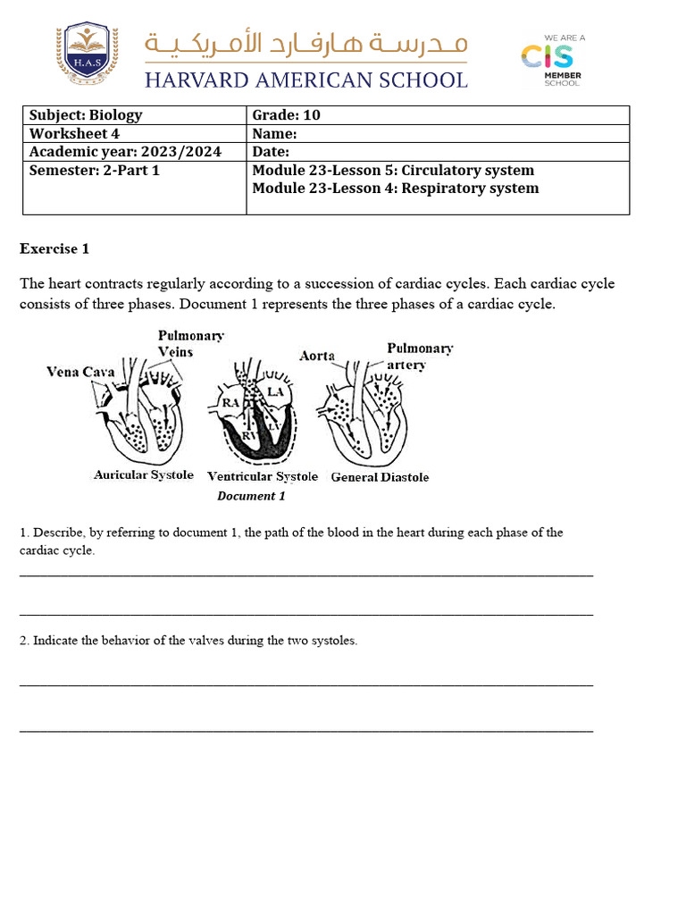 WS4 G10 | PDF | Respiratory System | Lung