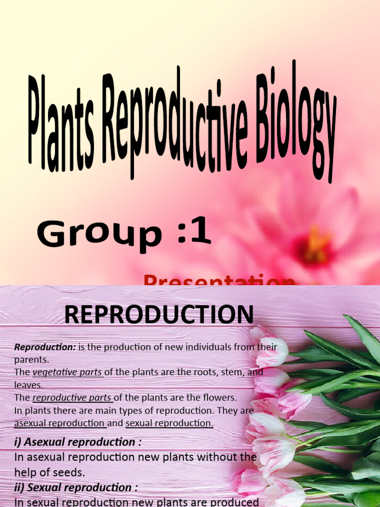 Group 1 Plants-production | PDF | Sexual Reproduction | Fertilisation