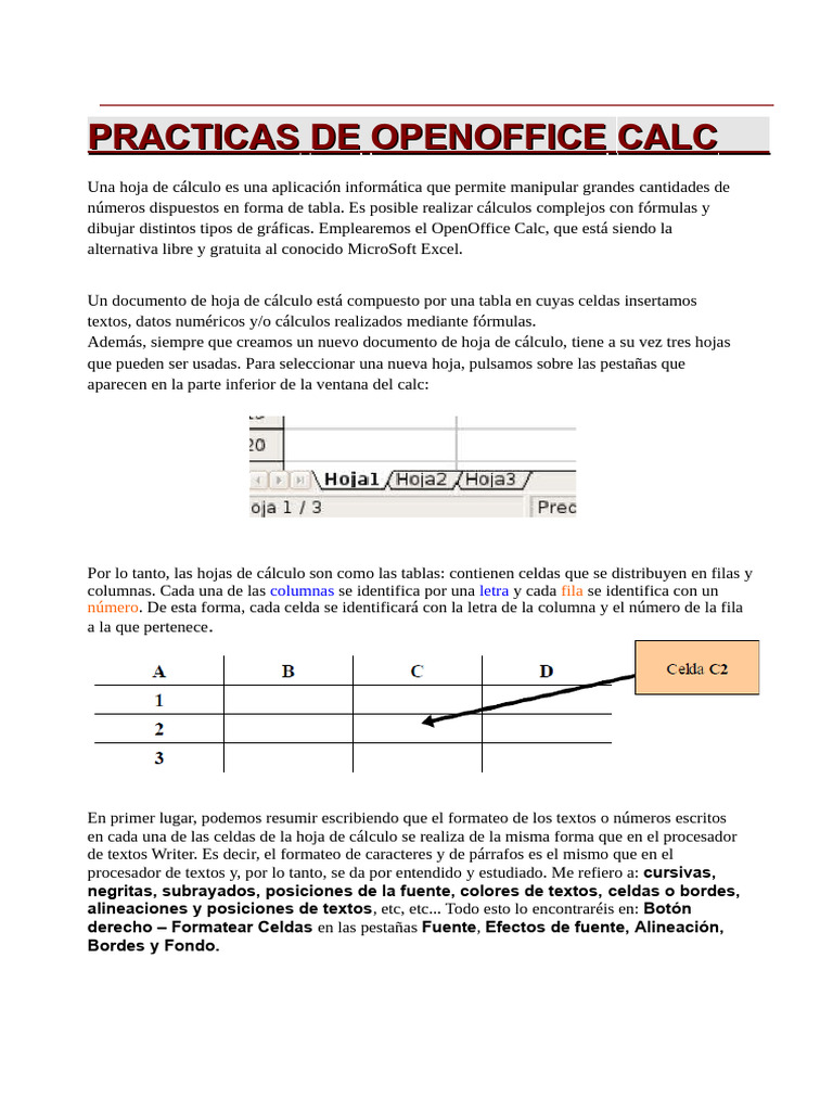 Prácticas Básicas en OpenOffice Calc | PDF | Hoja de cálculo | Software