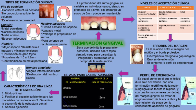 Terminacion Gingival | Descargar gratis PDF | Anatomia dental | Ramas ...