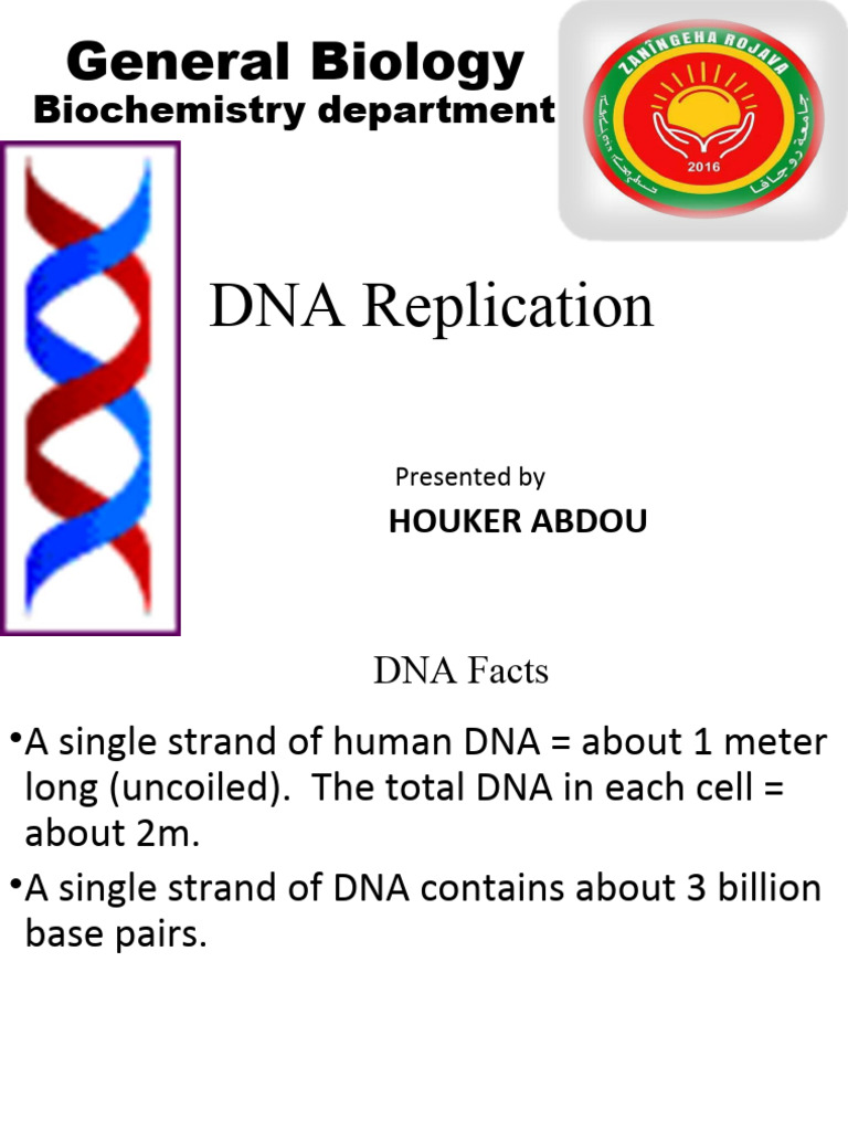 DNA Replication Basics | PDF