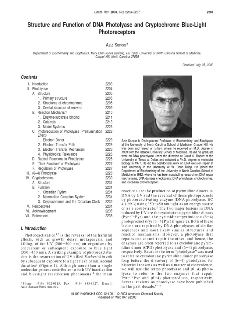 Radic CC CCCC | PDF | Enzyme | Active Site
