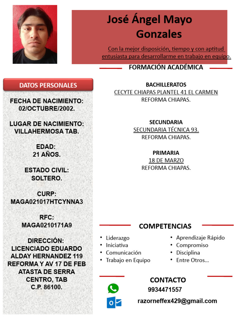 Jose Angel Mayo Gonzales CV | PDF