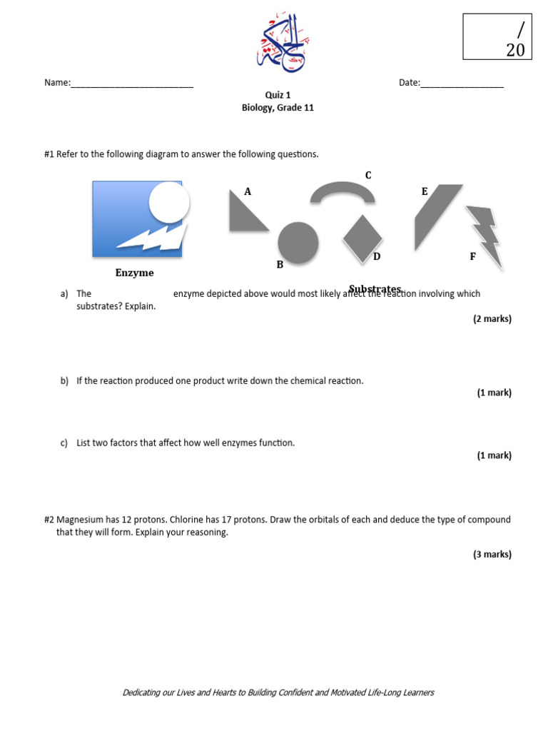 Quiz 1 | PDF | Chemical Reactions | Enzyme