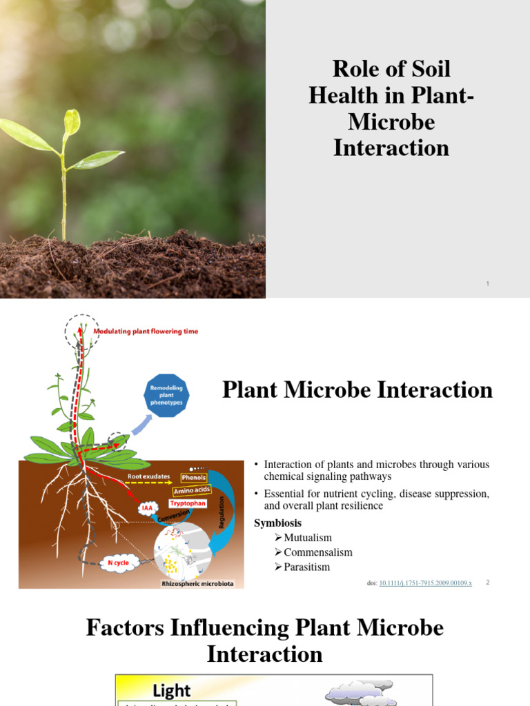 Plant-Microbe Interaction | PDF | Soil | Microorganism