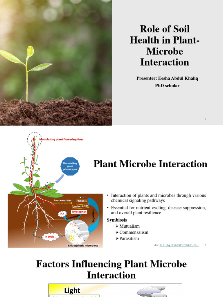 Role of Soil Health in Plant-Microbe Interaction | PDF | Soil ...