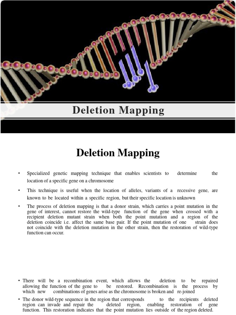Mapping | PDF | Mutation | Gene