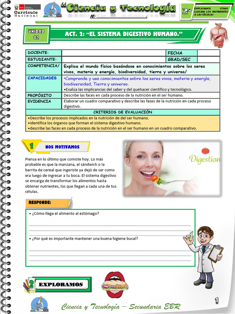 A-2º Act 2 Cyt Unid 2 - Sem 1 | PDF | Digestión | Estómago