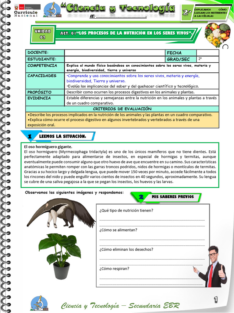 A-2º Act 1 Cyt Unid 2 - Sem 1 | Descargar gratis PDF | Sistema digestivo humano | Digestión