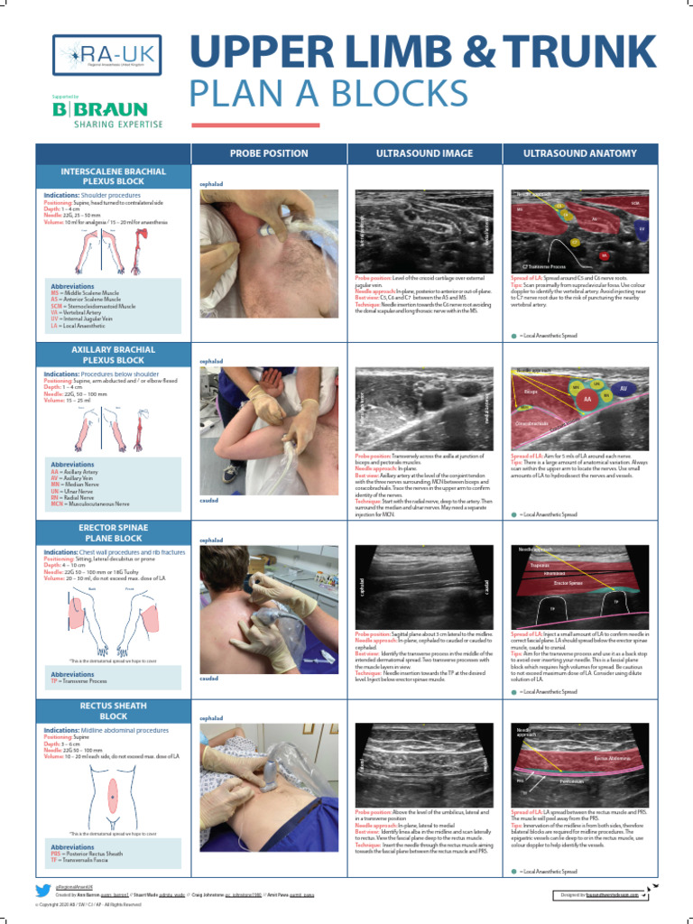 Plan A Blocks | PDF | Arm | Anatomical Terms Of Location