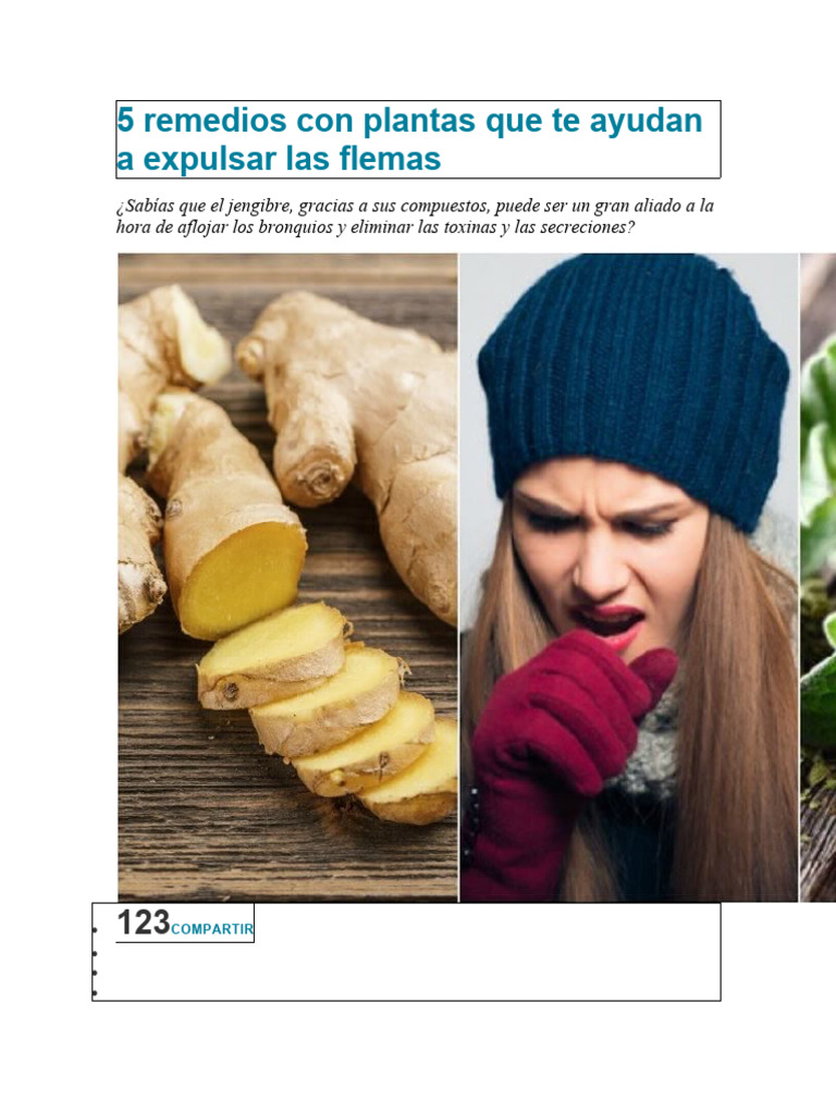 5 Remedios Con Plantas Que Te Ayudan A Expulsar Las Flemas | PDF | Té ...